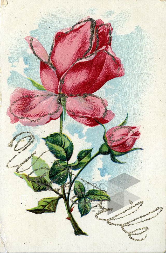 ETRC-P232-005-003c_257 - ETRC