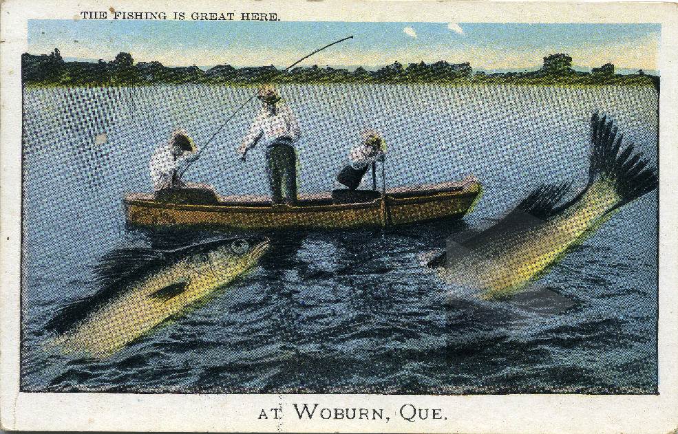 ETRC-P232-005-003c_268 - ETRC