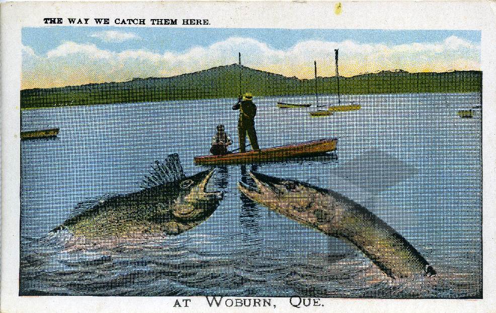 ETRC-P232-005-003c_269 - ETRC