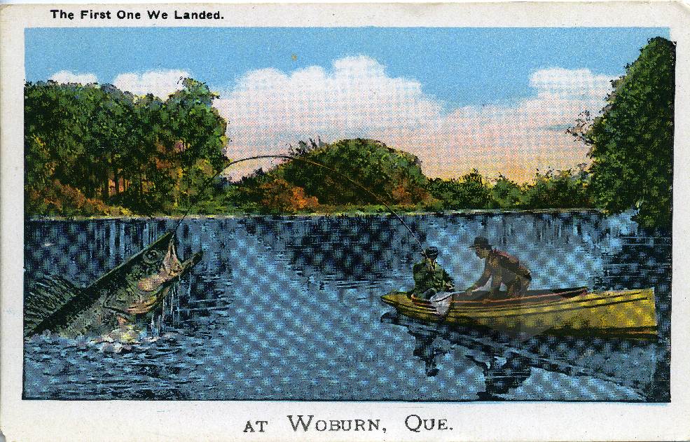 ETRC-P232-005-003c_270 - ETRC